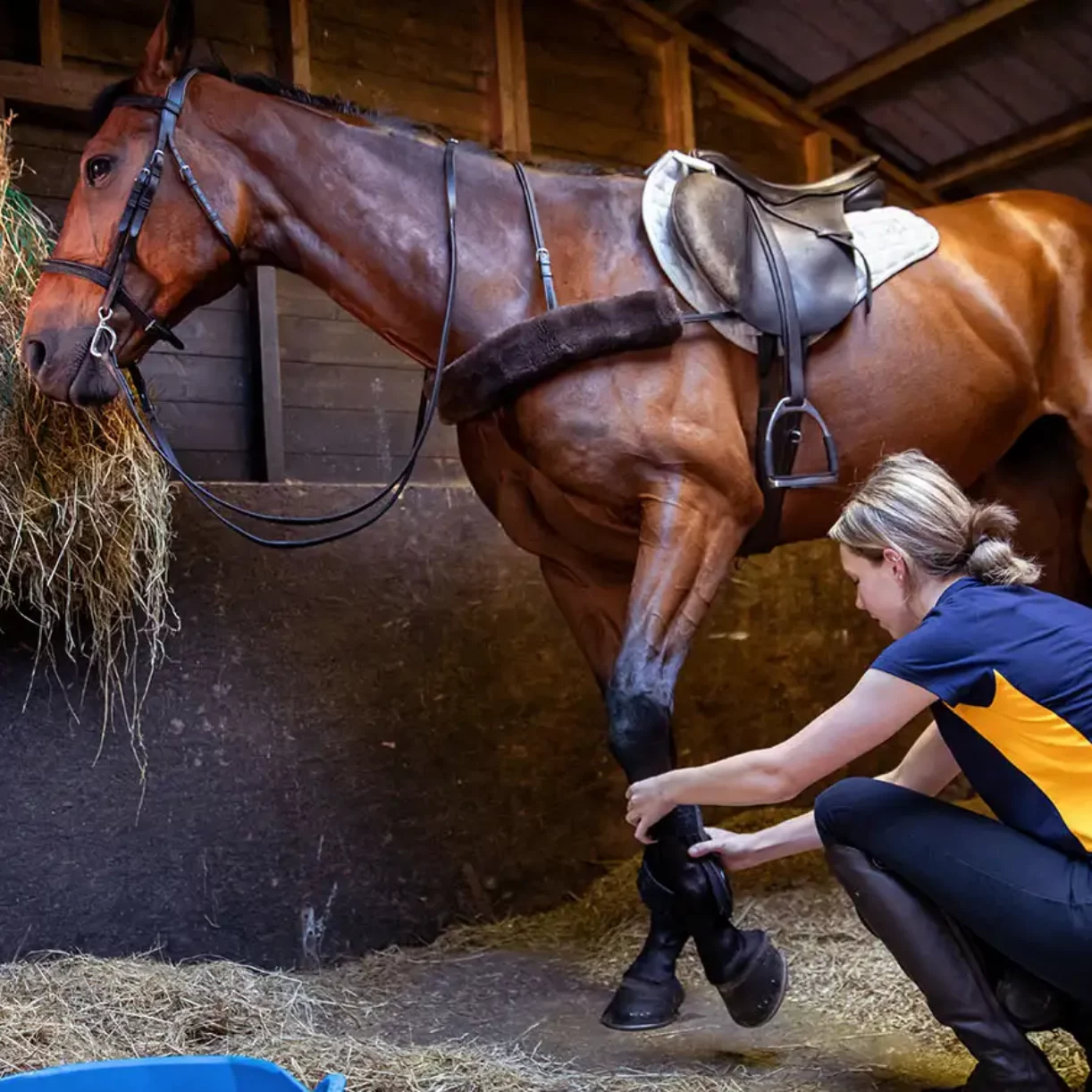 International Summer School, Intensive English Lessons | Bryanston