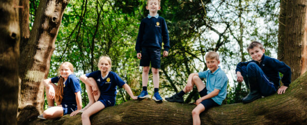 Rugby Sevens Performance Camp | Bryanston