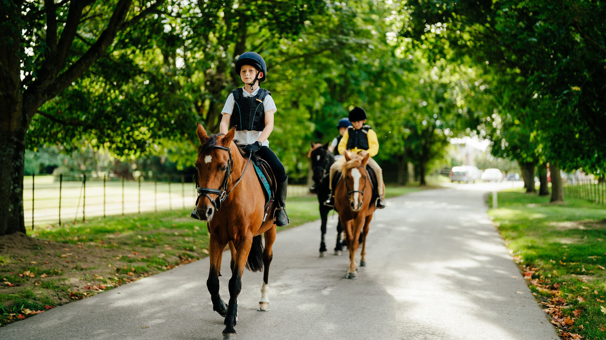 A spotlight on Bryanston Prep’s Equestrian Centre